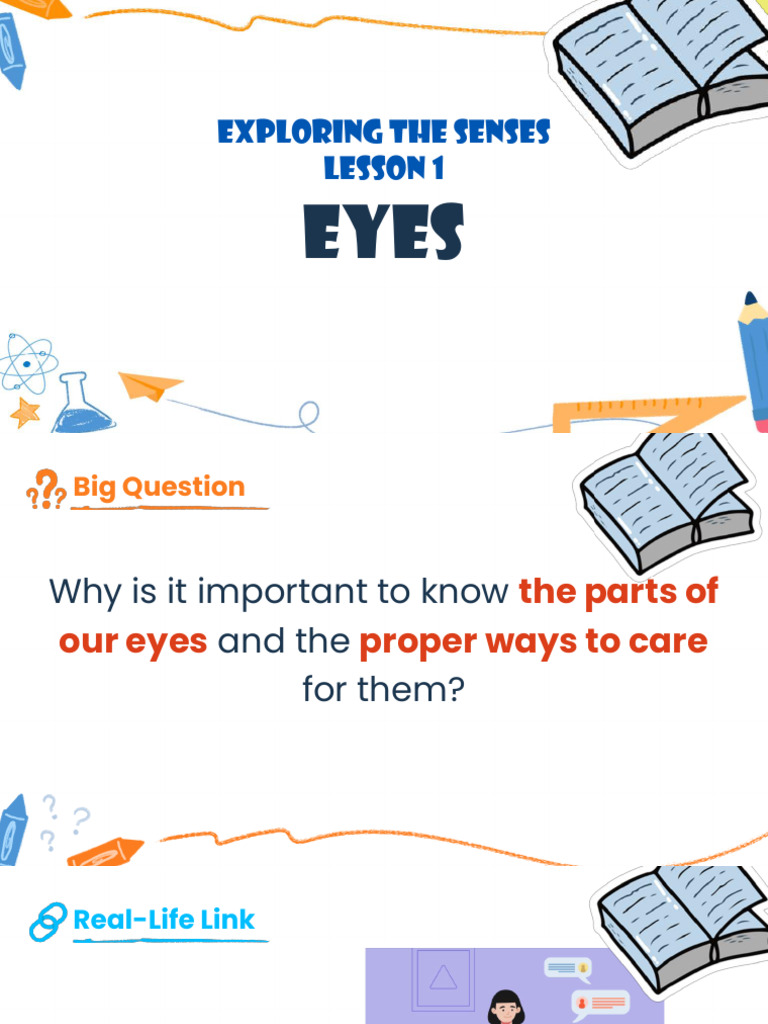 Eyes | PDF | Human Eye | Eye