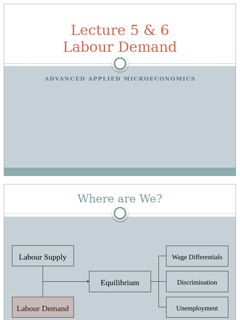 LabourDemand (1) | PDF | Labour Economics | Production Function