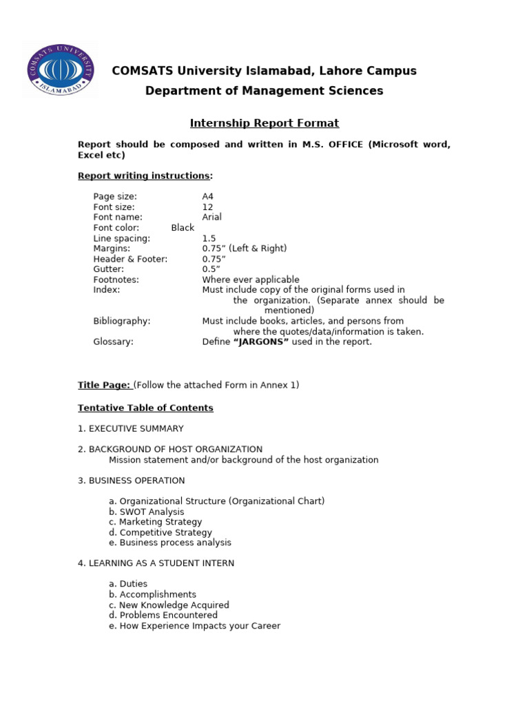 Internship Report Format | PDF