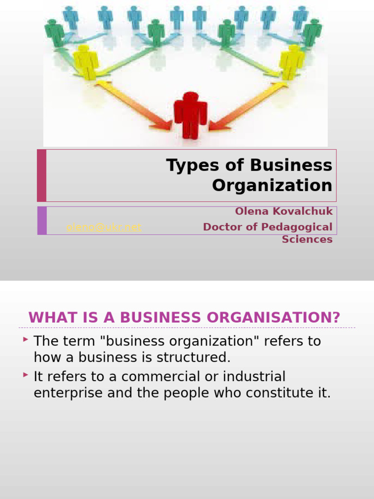 Types of Business Organizations Explained | PDF | Partnership | Joint ...