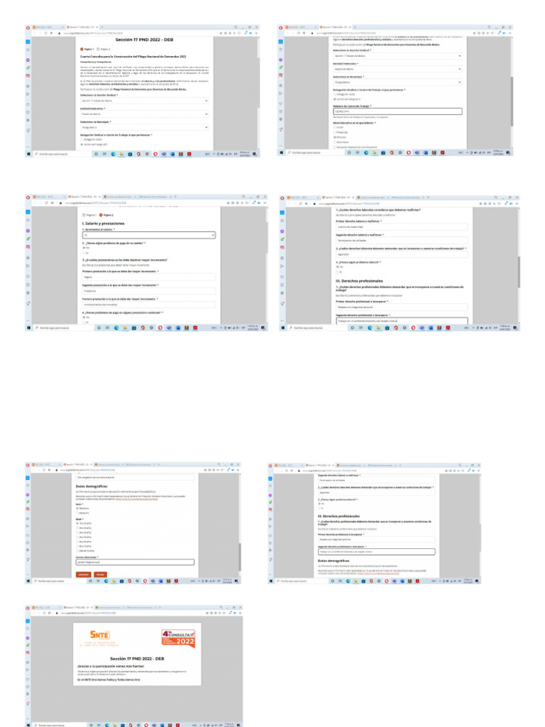 Capturas de Encuesta | PDF