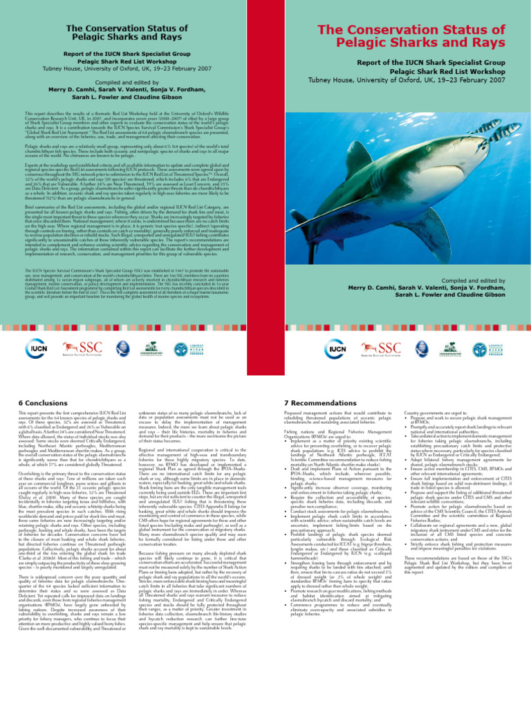 Pelagic Sharks & Rays Conservation Status | PDF | Sharks | Endangered ...