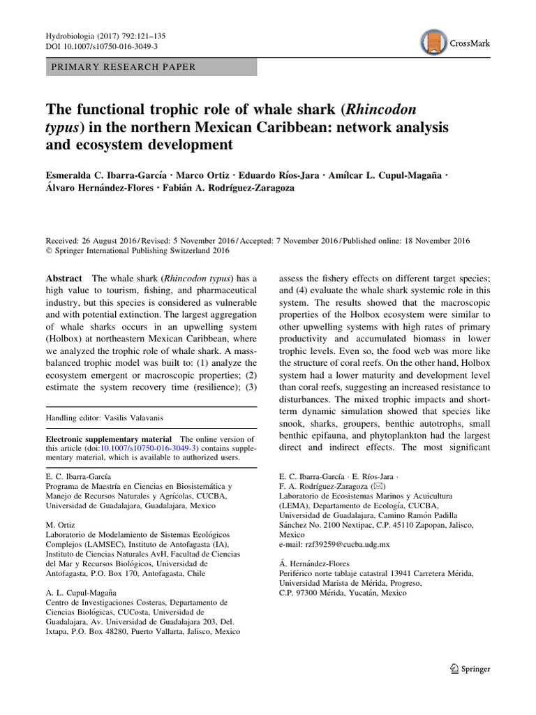 Trophic Role of Whale Shark | PDF | Food Web | Primary Production