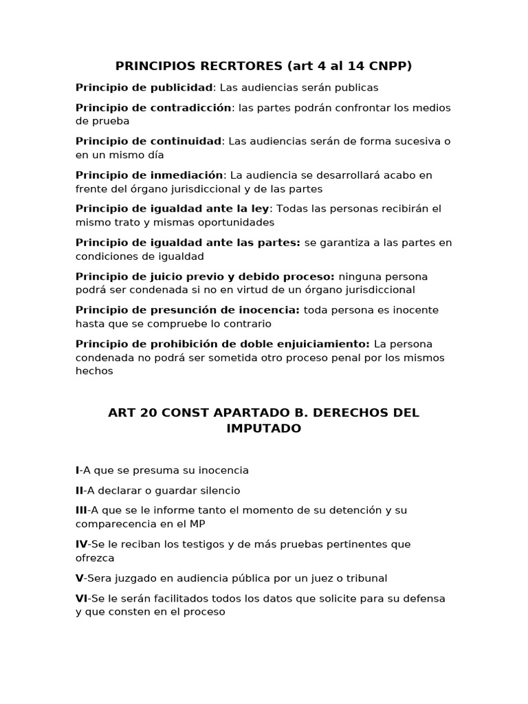 PRINCIPIOS RECRTORES | PDF | Judicaturas | Derecho penal