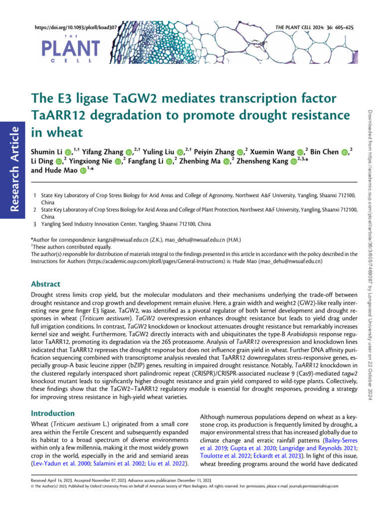Shumin Li Et Al - The Plant Cell 2024 | PDF | Wheat | Ubiquitin