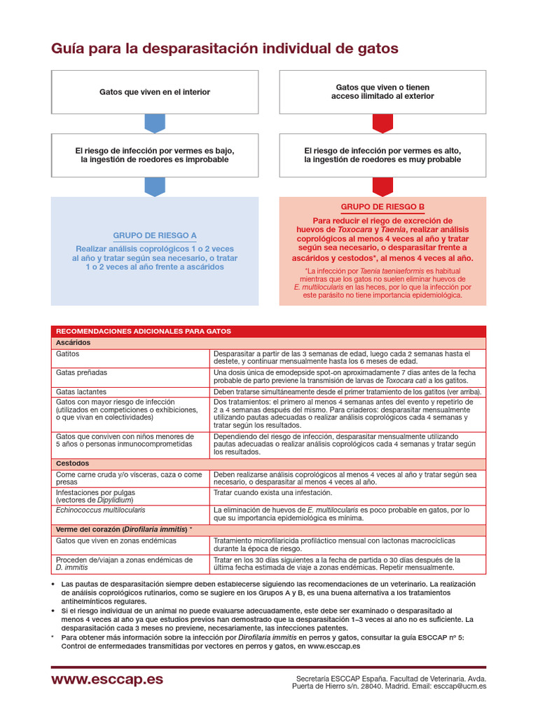 Rqy58v3k 1272 ESCCAP GL1 ES Standalone Worming Flow Charts v1 Cats ...