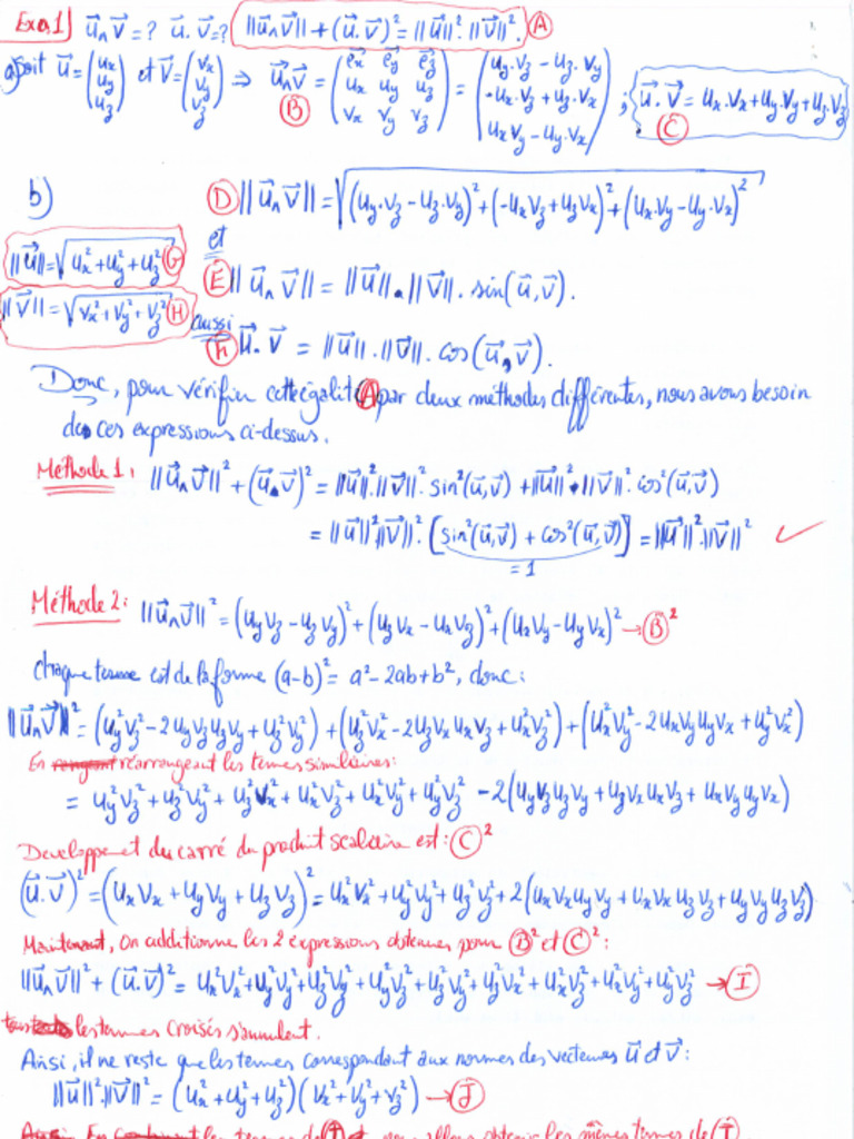 Correction Exos Entrainement Analyse Dimensionnelle Et Vecteurs | PDF