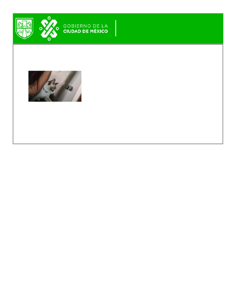 Nala 1712214847 | PDF