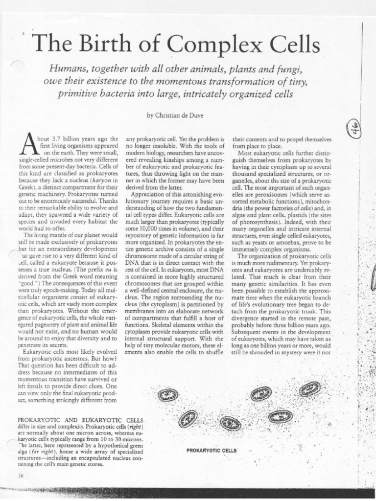 Birth of A Complex Cell - Article | PDF