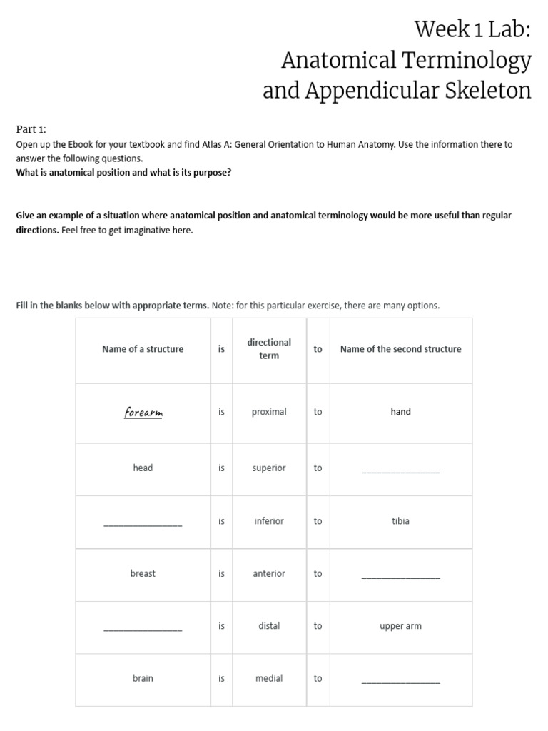 Week 1 Lab (ABSN BIO 315) | PDF | Anatomical Terms Of Location | Musculoskeletal System