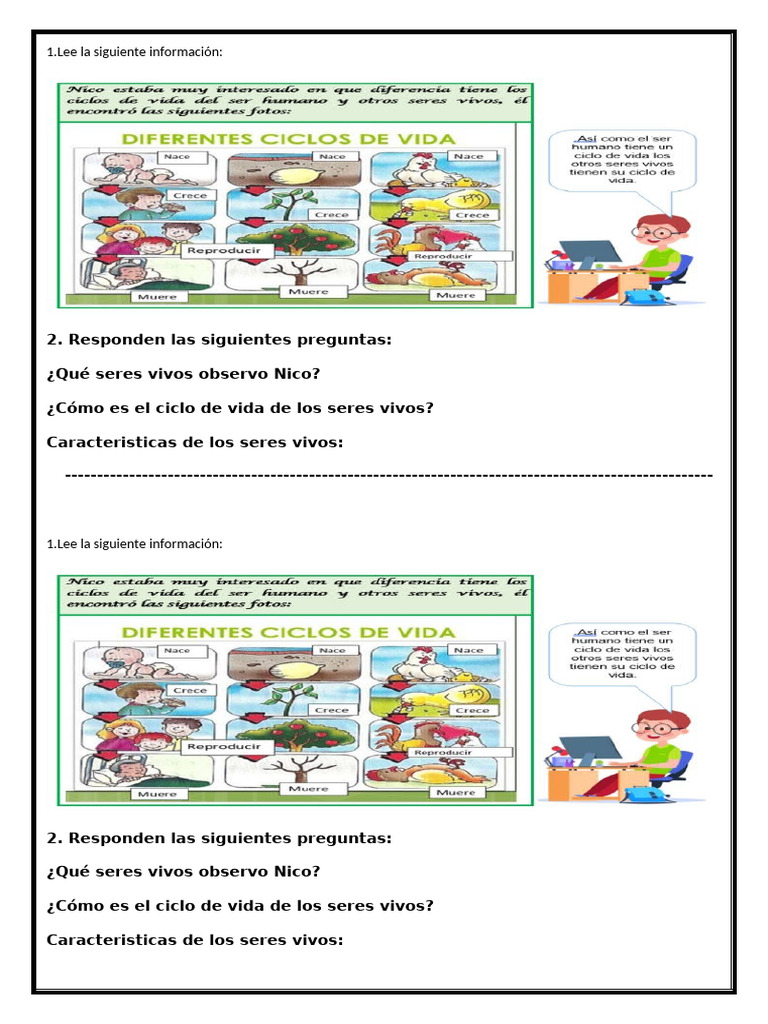 Ficha Ciclo de Vida Del Ser Vivo | PDF | Organismos | Vida