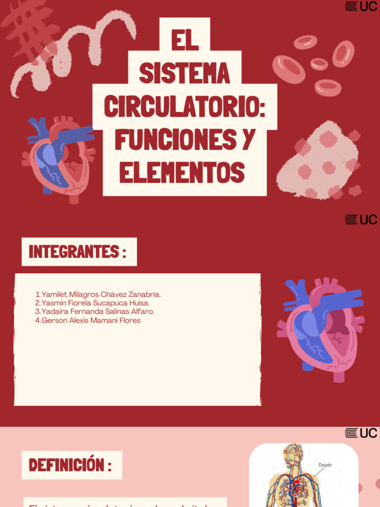 Presentación Educativa Sobre El Sistema Circulatorio en Rojo Beige Rosa ...