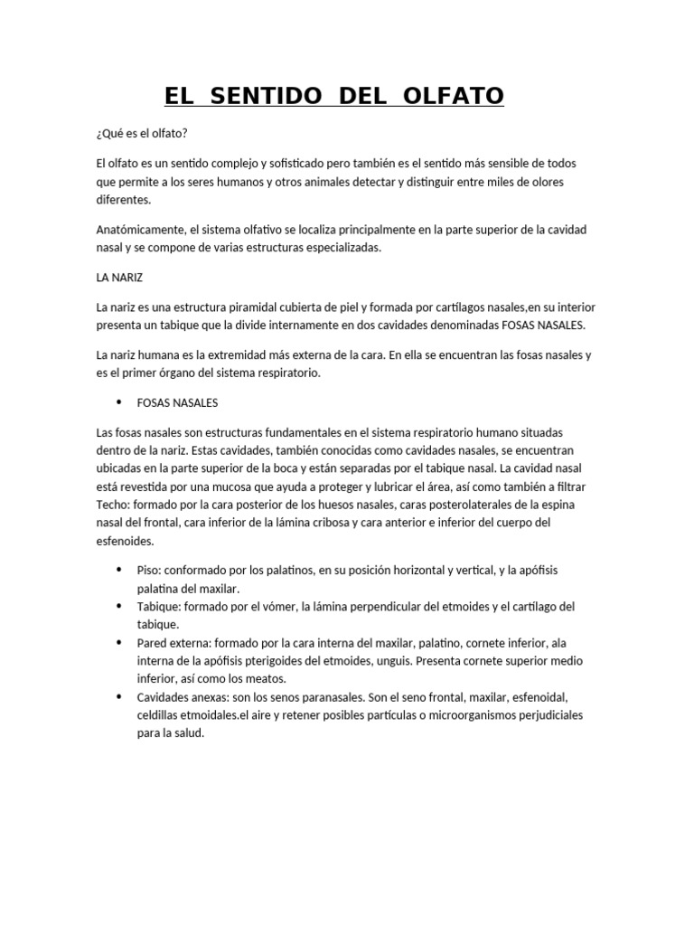 Función y cuidado del sentido del olfato | PDF | Nariz humana ...
