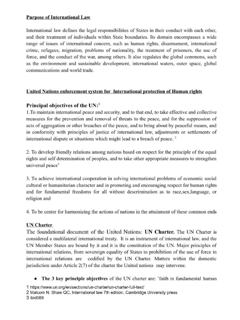 UN System of Enforcement of Human Rights | PDF