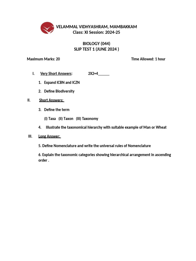 slip test class11 | PDF