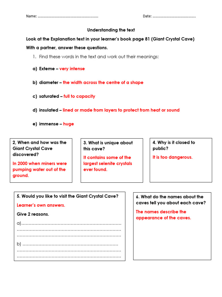 WS - Understanding The Text Answers | PDF
