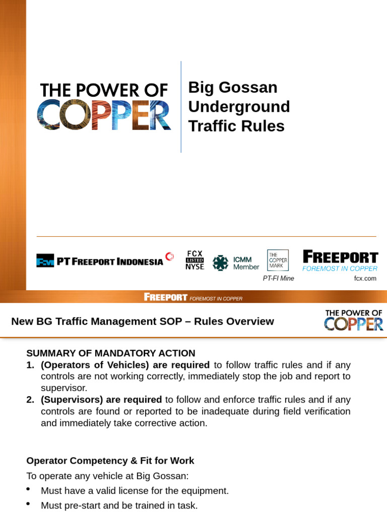 BG Traffic Management Rules Overview | PDF | Traffic | Truck