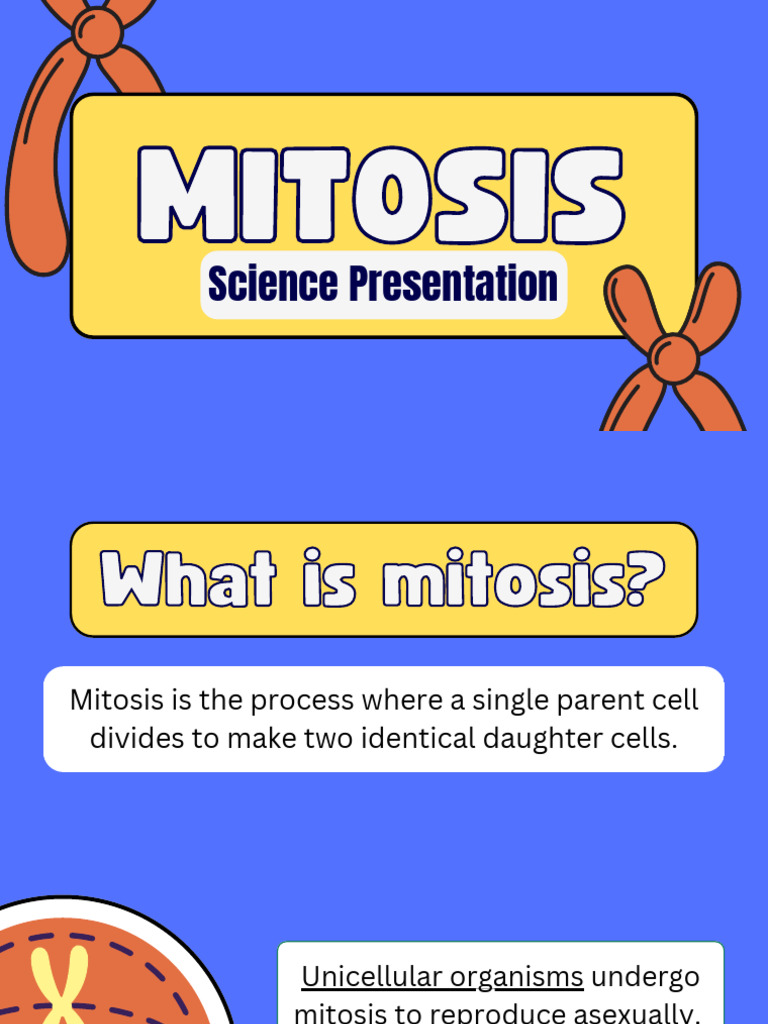 Mitosis Science Presentation in Blue Yellow Flat Graphic Style ...