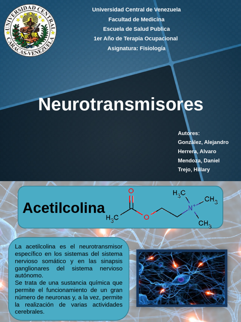 Neurotransmisores 2 | PDF | Norepinefrina | Acetilcolina