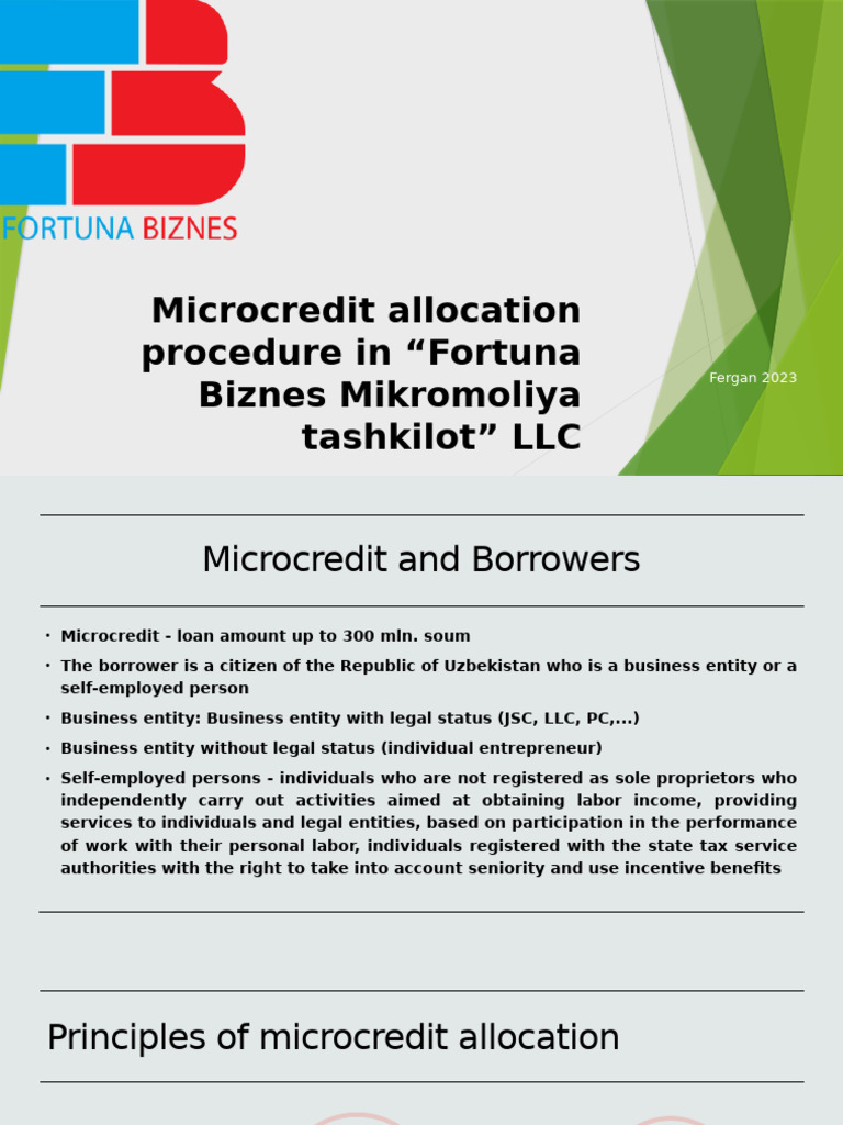 Microcredit Allocation Procedure | PDF | Loans | Credit