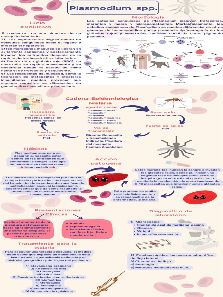 Plasmudium SPP | PDF | Plasmodium | Plasmodium Falciparum