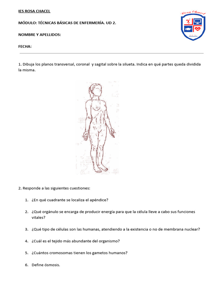 Ejercicios Ud 2 Tbe | PDF