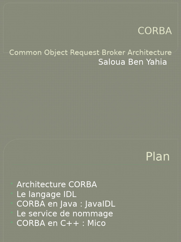 CORBA v6 | PDF | Architecture du courtier de demande d'objet commun | Informatique