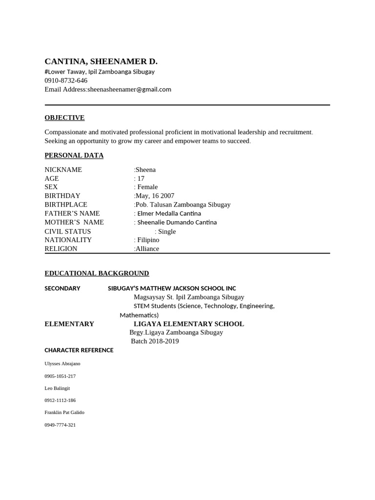 Resume Template | PDF