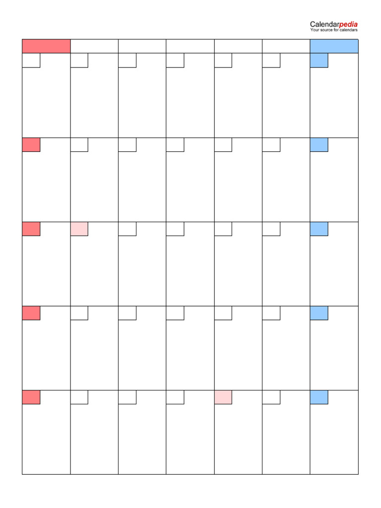 November 2024 Calendar Portrait Small Numerals | PDF