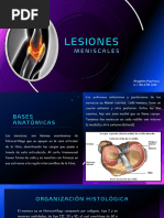 RM de Rodilla: Informe y Diagnóstico | PDF | Rodilla | Anatomía del ...