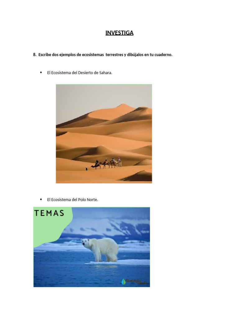 Tarea de Ciencia y Tec - Luana | PDF