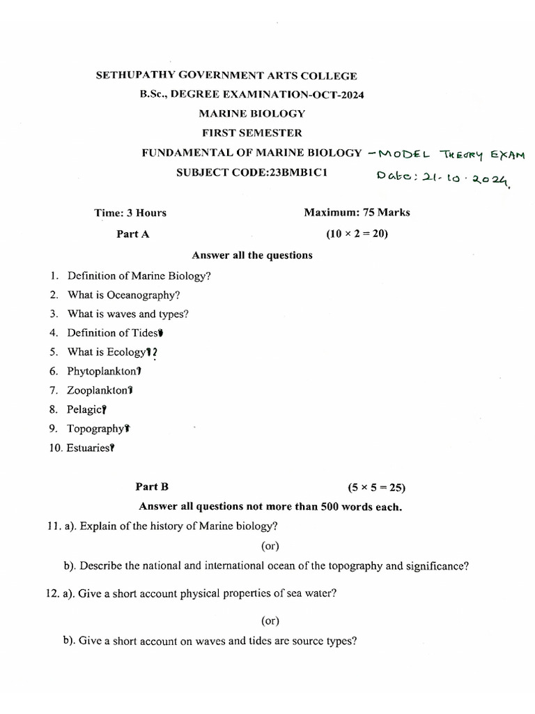 Model - University Exam Pattern Theory Major Examination 75 Marks | PDF