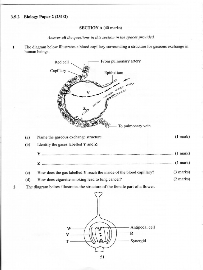 2015-KCSE-BIOLOGY-PP2 | PDF