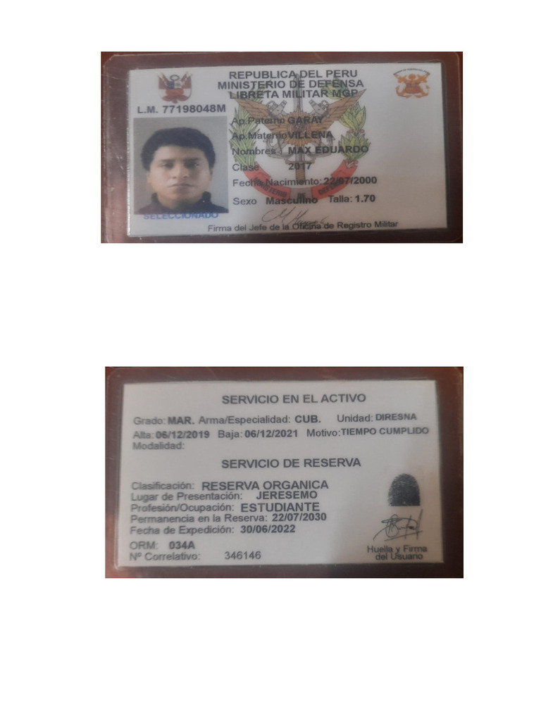 Licencia de 12 Meses | PDF