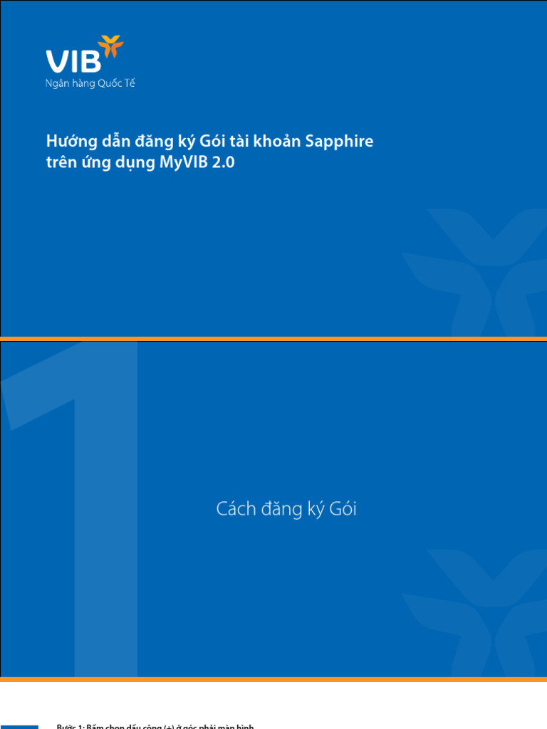 Sapphire+Infographic+2023 +VN | PDF