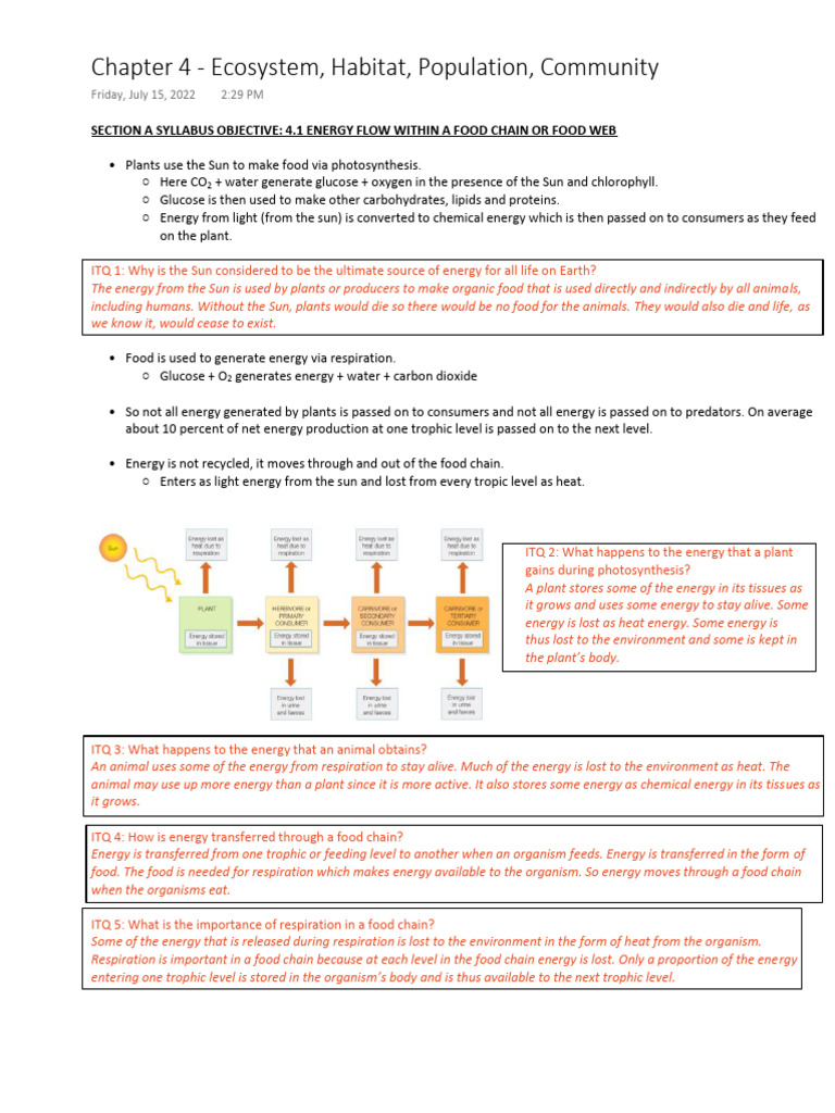 Energy Flow in Food Chains and Ecosystems | PDF | Food Web | Foods