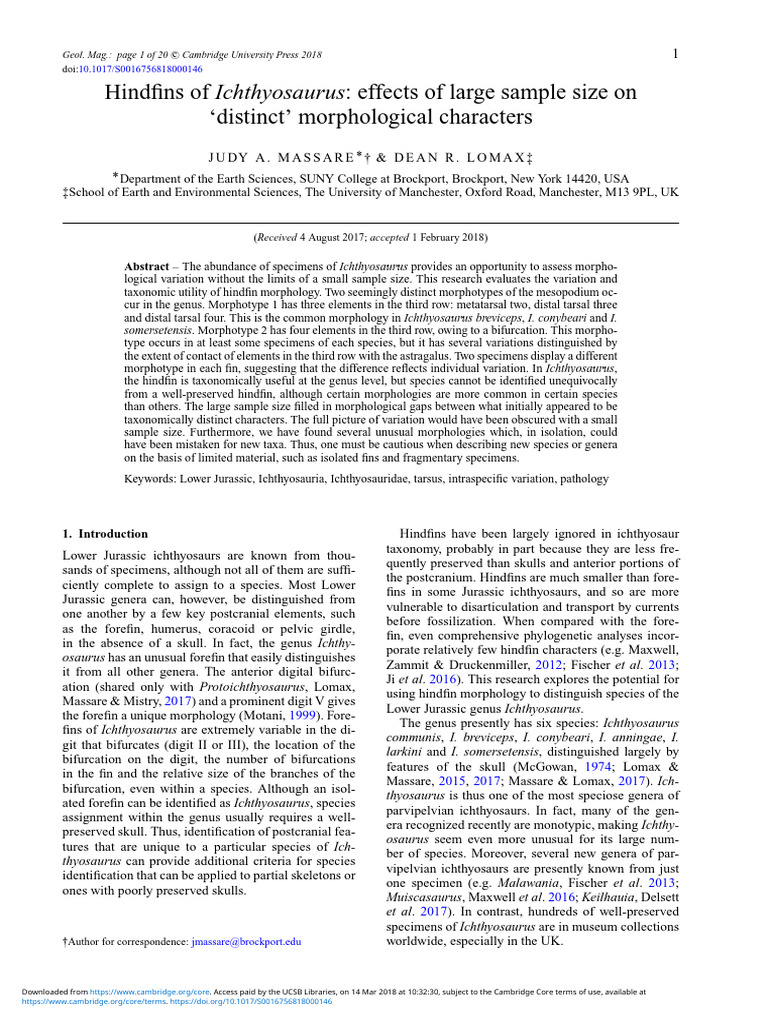 Massare 2018 | PDF | Vertebra