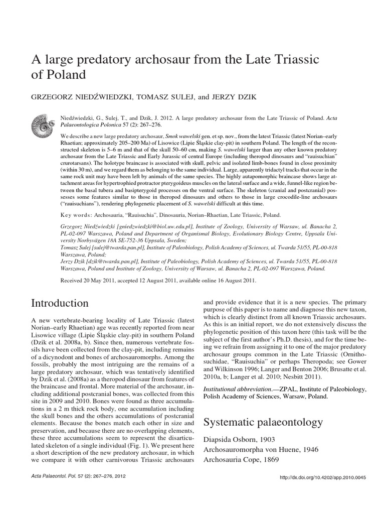 Niedzwiedzki Et Al 2012 A Large Predatory Archosaur From The Late ...
