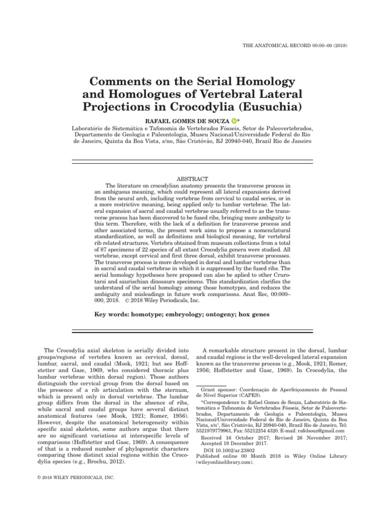 Souza-2018-Serial Homology Transverse Process | PDF | Vertebra ...