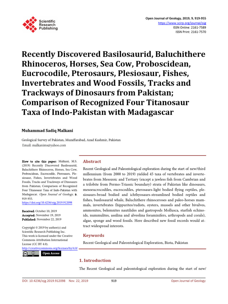 Recently Discovered Basilosaurid Baluchithere Rhin | PDF | Vertebra ...
