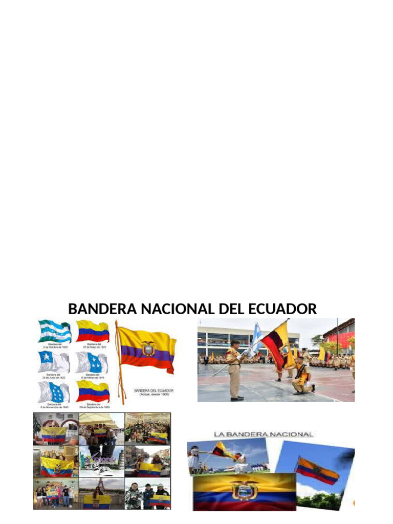 collage de los escudos | PDF