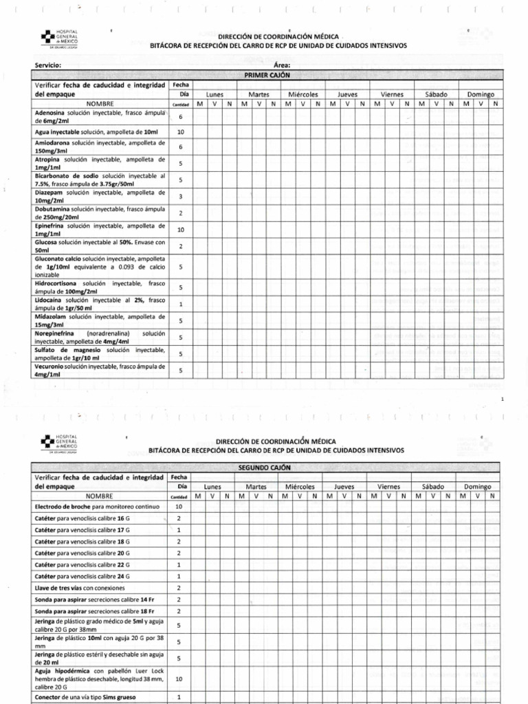 Bitacora Carro Rojo NUEVA 2023 | PDF