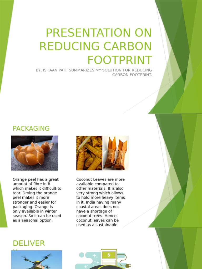 Strategies for Reducing Carbon Footprint | PDF | Home & Garden