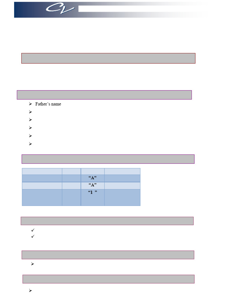 Curriculum Vitae of Naseem Chandio | PDF