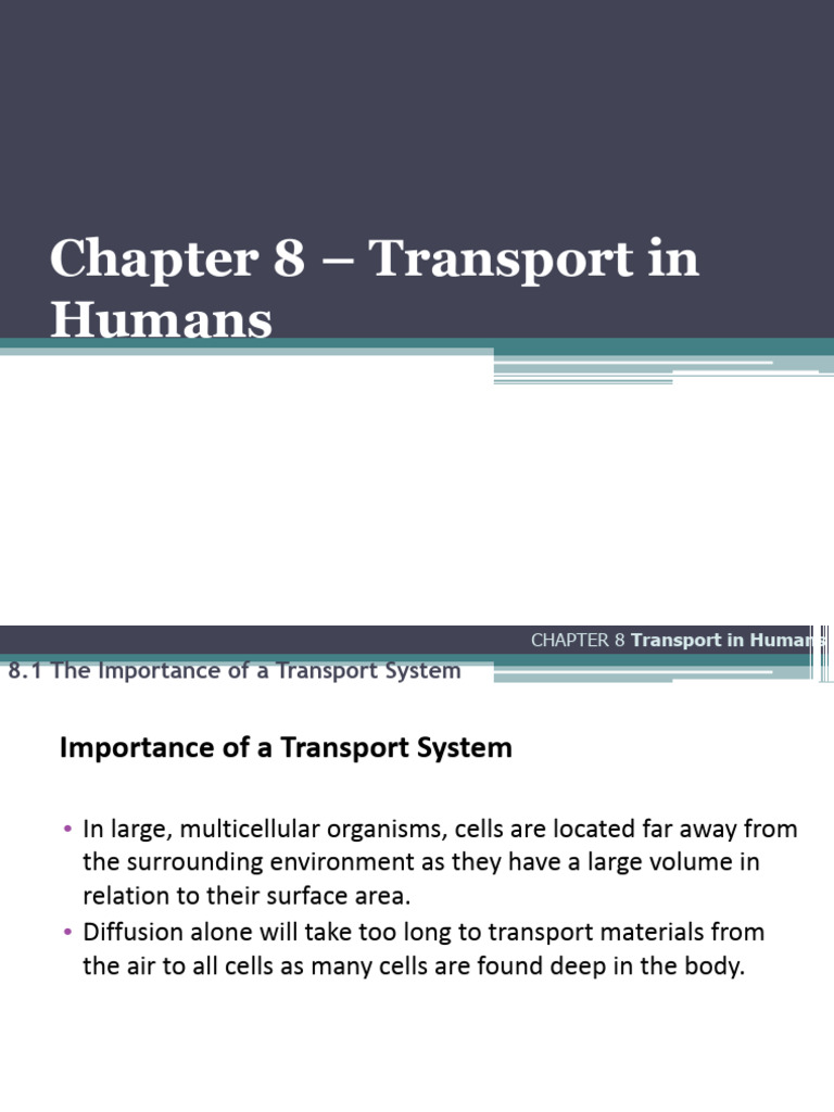 Transport in Humans (Integrated Science) | PDF | Atrium (Heart) | Heart