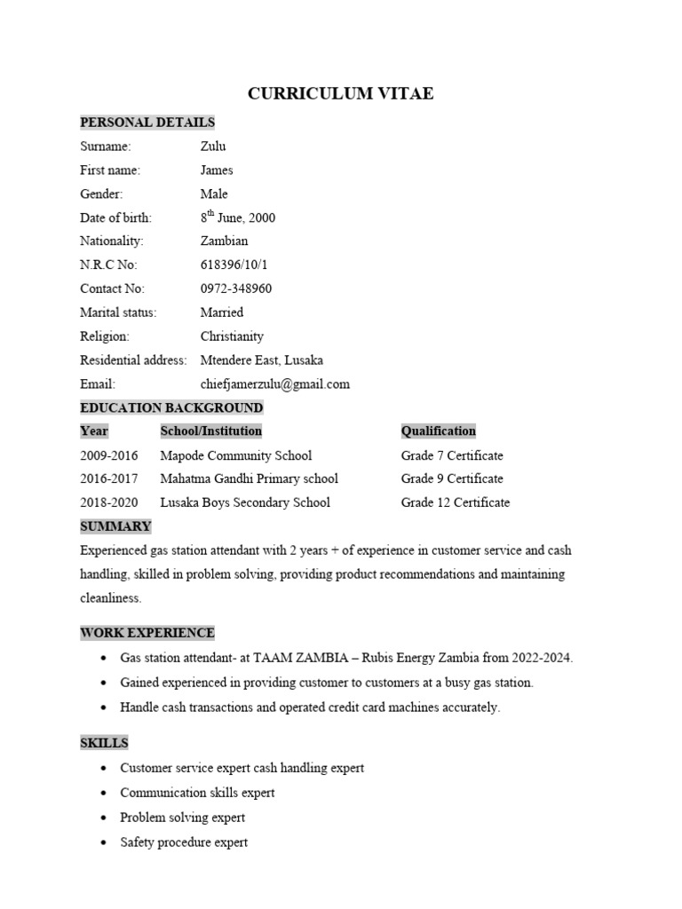 Curriculum Vitae James Zulu | PDF