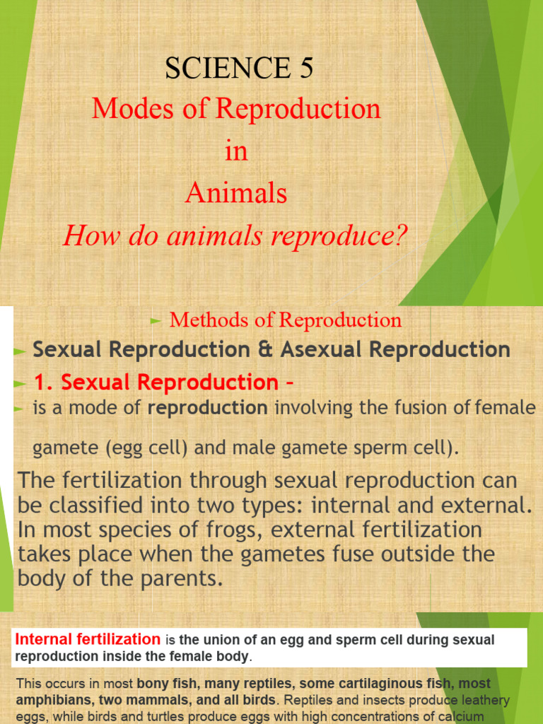 SCI -5- Mode of reprodution in animal.pptx | PDF | Sexual Reproduction | Reproduction