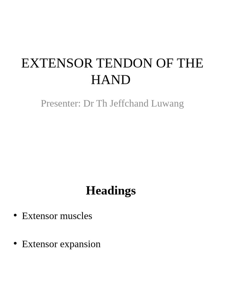 EXTENSOR TENDON OF THE HAND.pptm | PDF | Thumb | Hand