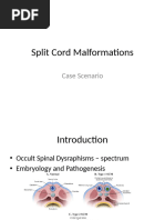 Cloxacillin Dosage Guide + Max Dose, Adjustments | PDF | Urinary Tract ...