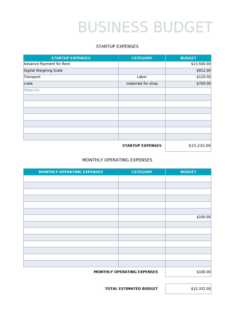 Business Budget File Excel | PDF